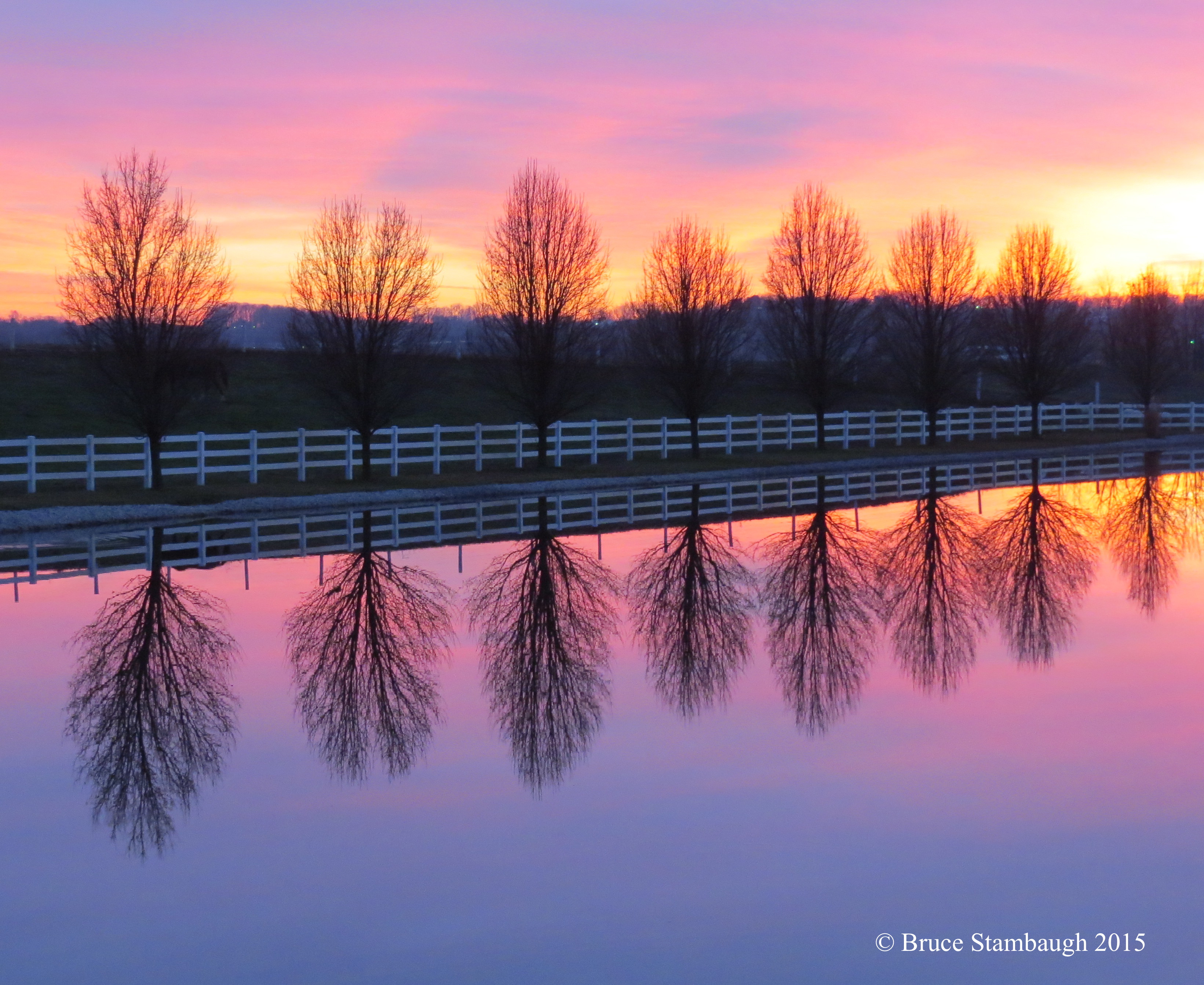Sunset Symmetry – Roadkill Crossing
