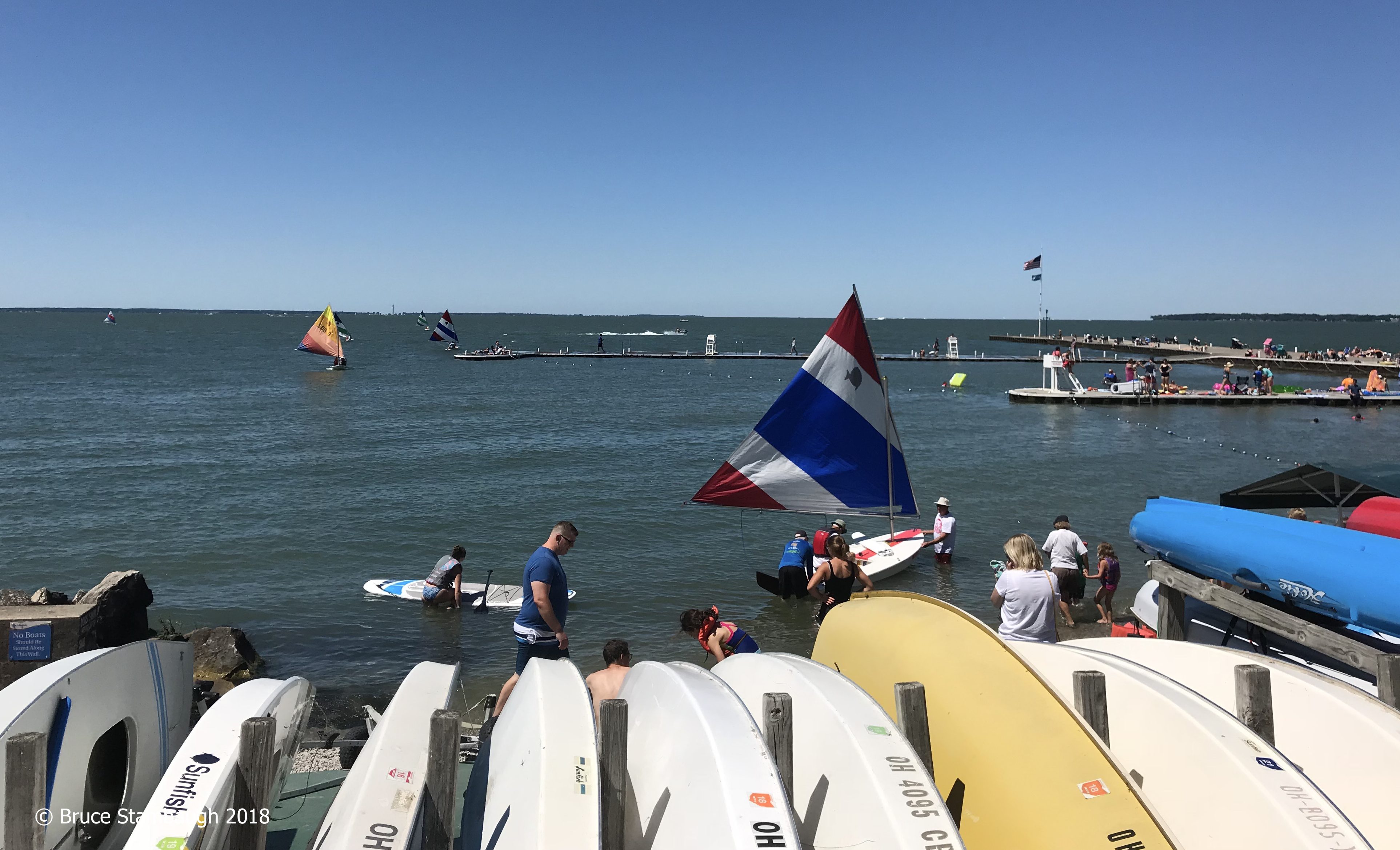 Mere observation brings renewal – Roadkill Crossing