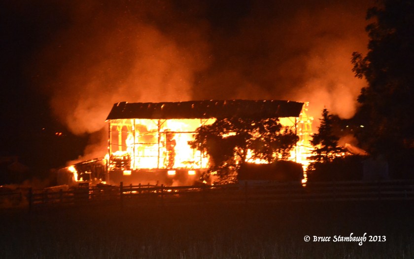 Amish – Page 6 – Roadkill Crossing