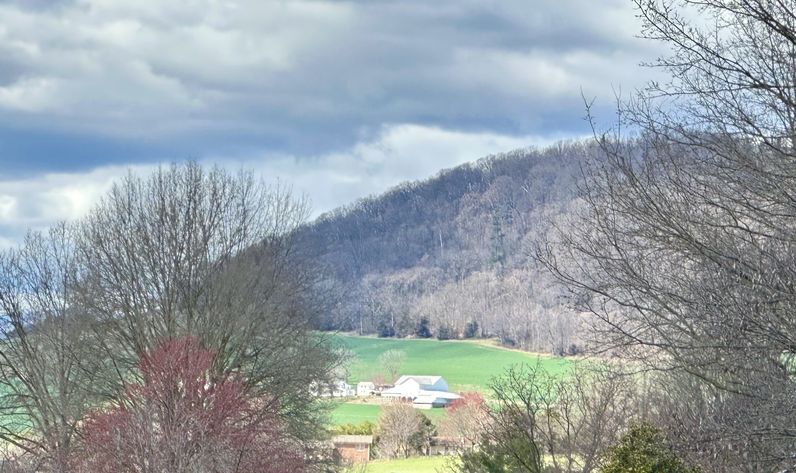 Sunrise, Sunset and Mole Hill – Roadkill Crossing