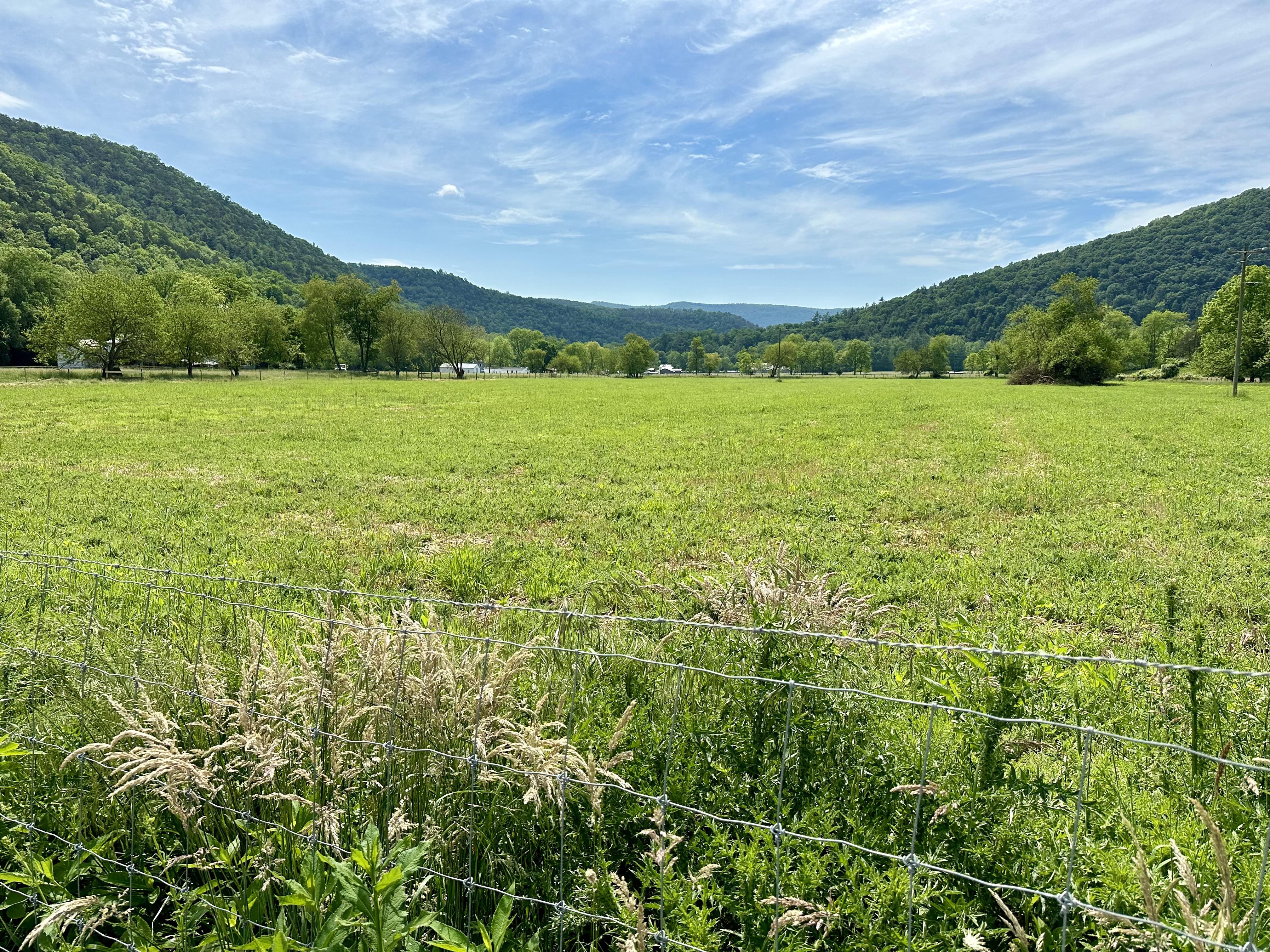 Criders and Bergton, Virginia – Roadkill Crossing