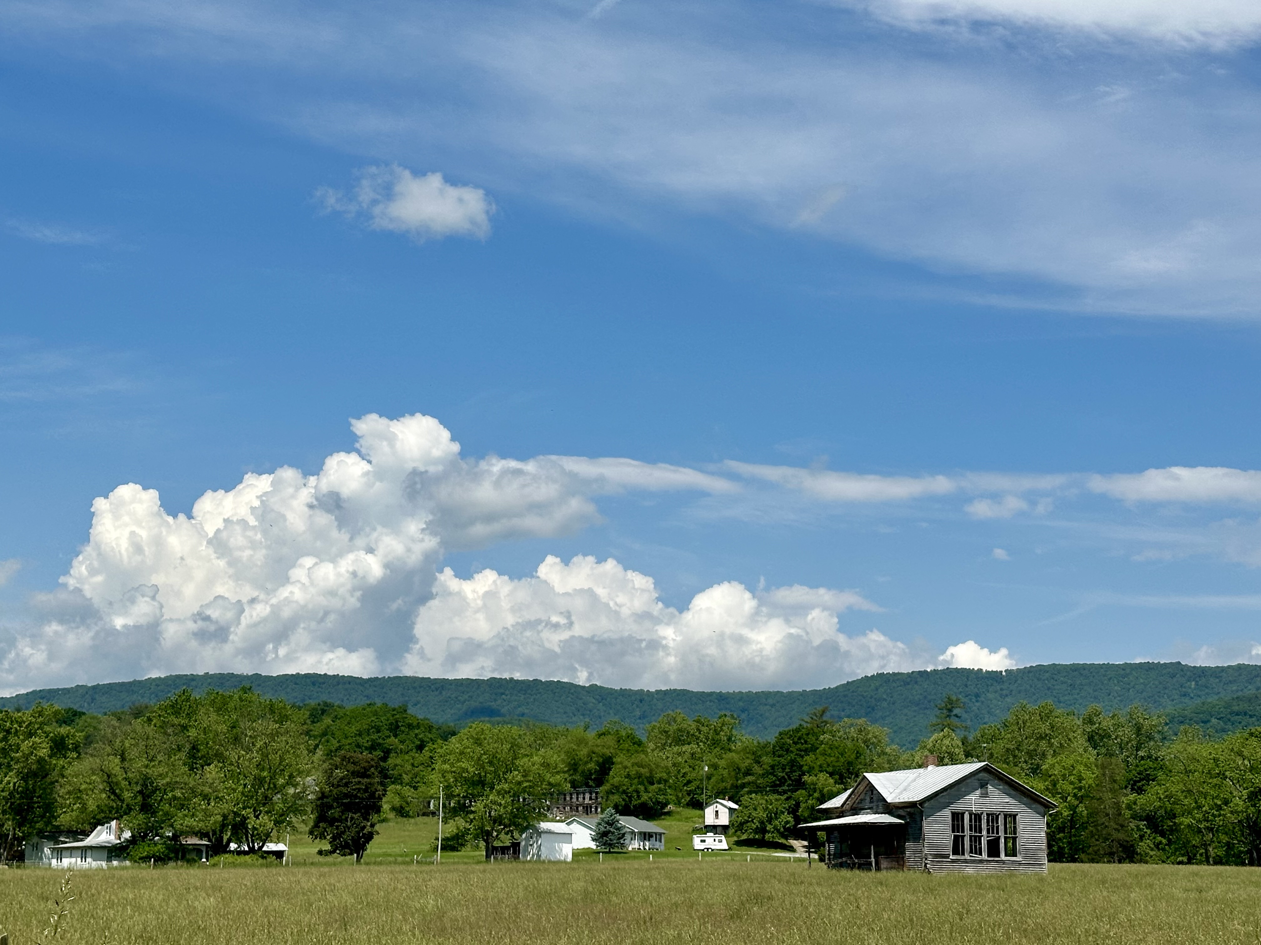 Roadkill Crossing – Writing generated from the rural life