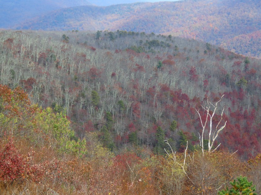 Shenandoah National Park: Before and After the Peak Leaf Colors ...