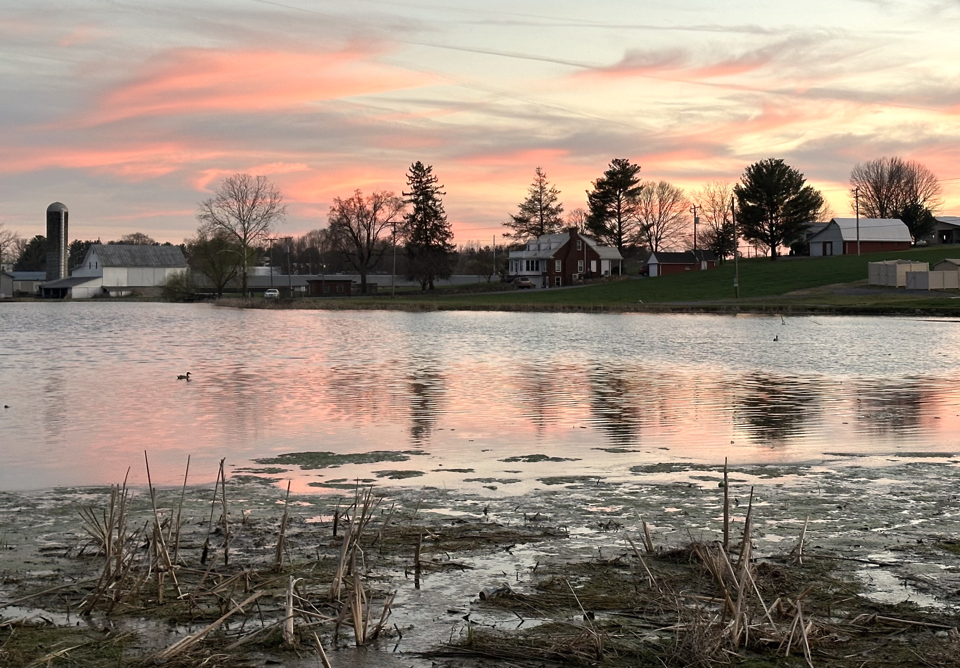 Sunset at Silver Lake – Roadkill Crossing