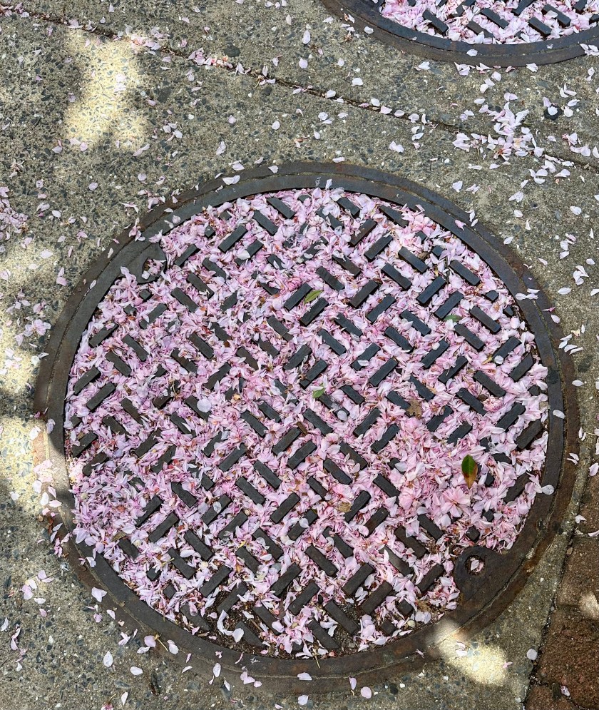 Petals on Medals – Roadkill Crossing
