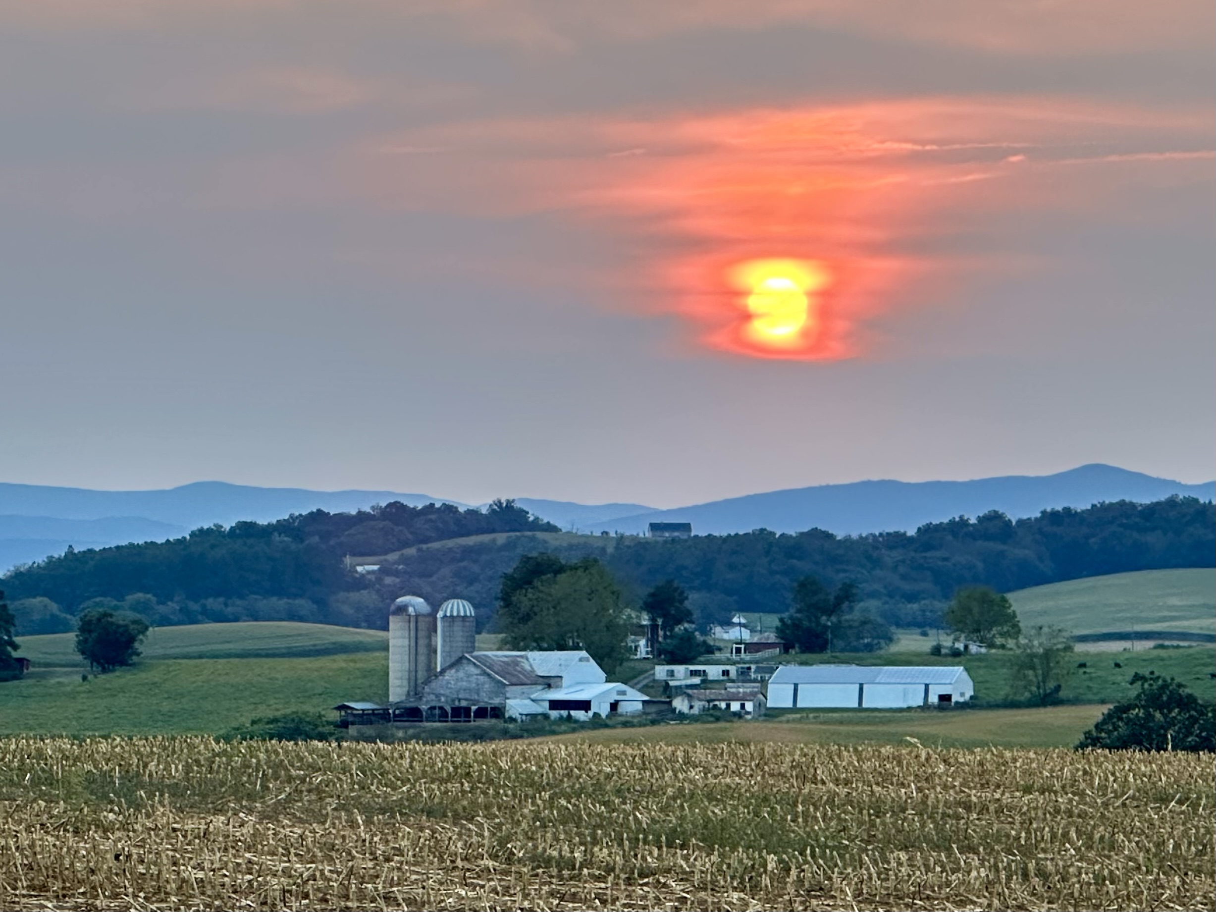 Shimmering Sunset – Roadkill Crossing