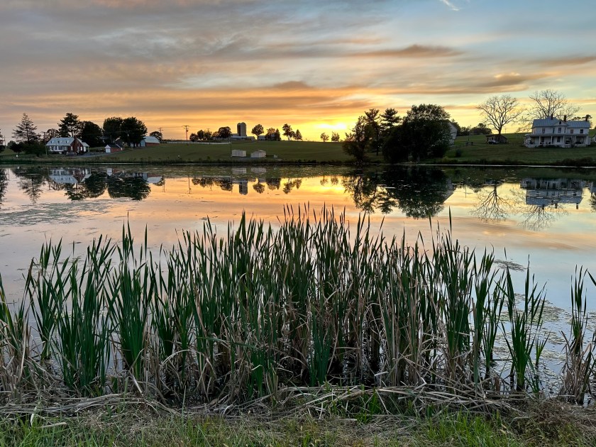 Anatomy of a Sunset – Roadkill Crossing
