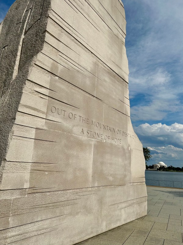 January 19, 2026 – Roadkill Crossing